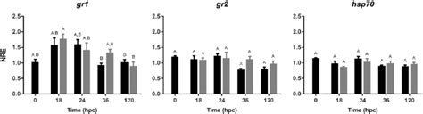 Normalized Relative Expression Nre Analysis Mean ± Se Of