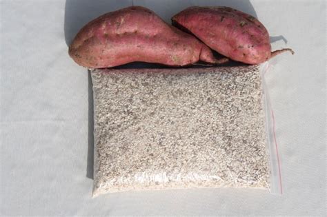 Sweet Potato Flour Feed Gradechina Dehong Price Supplier 21food