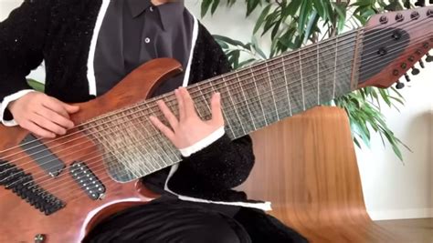 Guitarist Playing A 14 String Guitar R Nextfuckinglevel