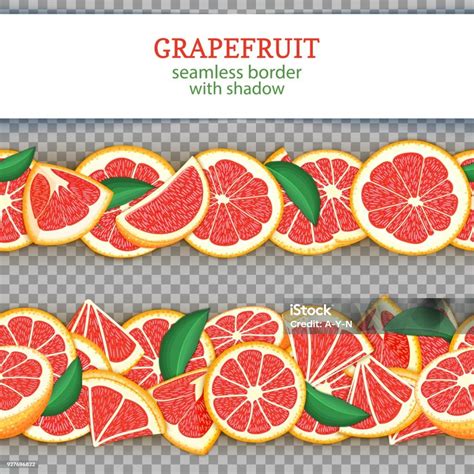 잘 익은 자 몽 과일 가로 완벽 한 국경입니다 그림 카드 전체 벡터 및 좁은 차 화장품 식품 포장 주스 아침 식사의 디자인에 대 한 빨간 포 멜로와 끝 없는 스트립 해독을