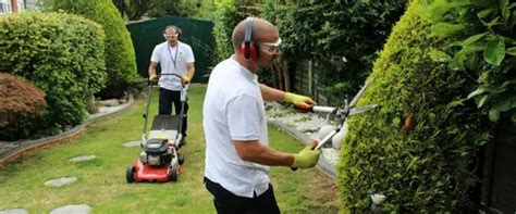 Transform Your Landscape With Expert Belfast Tree Surgeons