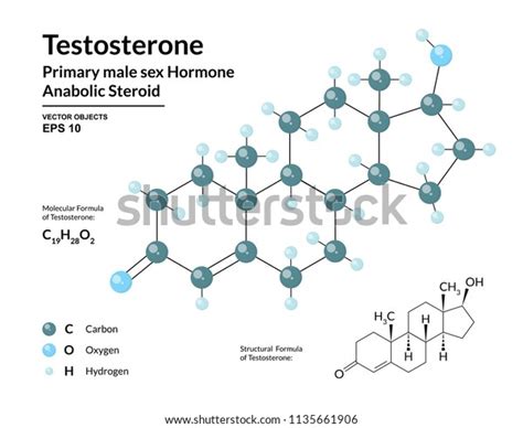 4 Thyroid Color Code Stock Vectors And Vector Art Shutterstock