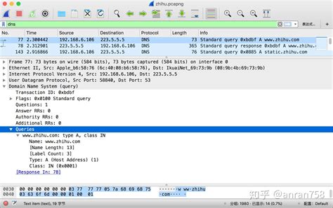 初识网络原理 从浏览器地址栏输入 到页面渲染之间都经历了什么 知乎
