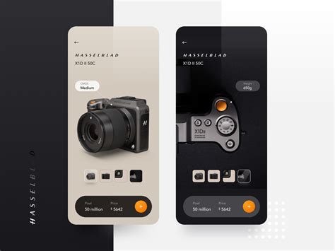 Camera Display Ui Artofit
