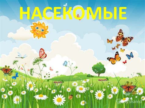 Строение насекомых - online presentation