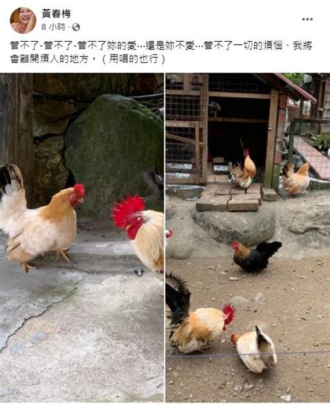 大s再婚登記倒數！徐媽直喊「管不了」 10字洩驚人口風 娛樂星聞
