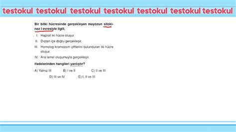 Testokul 2023 10 Biyoloji Fsk 02fasikul Test04 03 On Vimeo