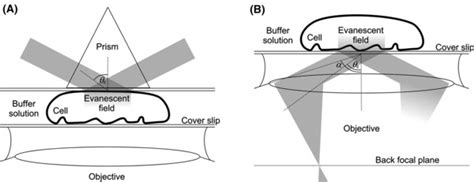 Prism And Objective Type Tirf A In Prism Type Tirf Microscopy The