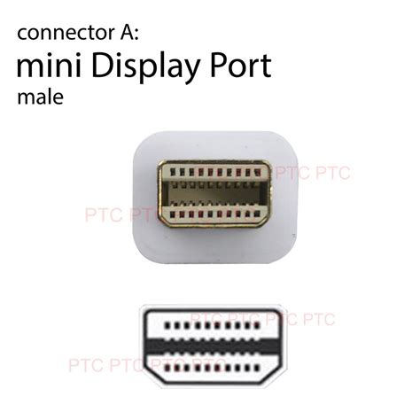 Cm Mini Display Port MDP Male To Display Port Female Converter