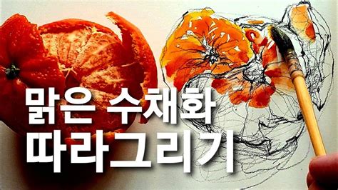 수채화 귤 따라그리기 Youtube