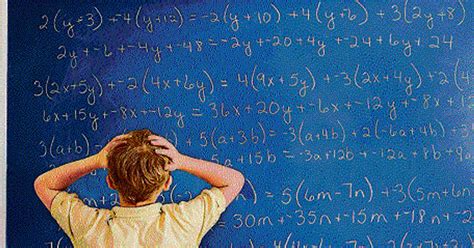 Ecosystems Need Maths To Survive