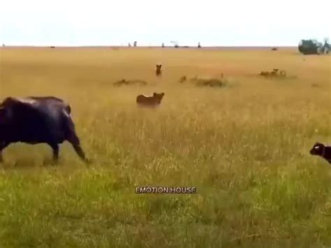 parthiban digital marketer posted on linkedin