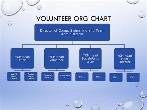 Ycm Swim Team Blue Crabs Ppt Download