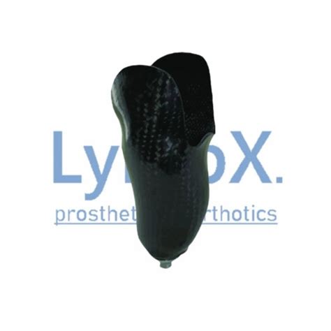 Lower Limb Functional Prosthetic Left Side Knee Prosthesis At ₹ 20000