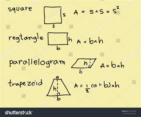 Area Formula Vector Stock Vector Royalty Free 241239532 Shutterstock