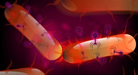 Bacterias Defense Systems Team Up Against Phages