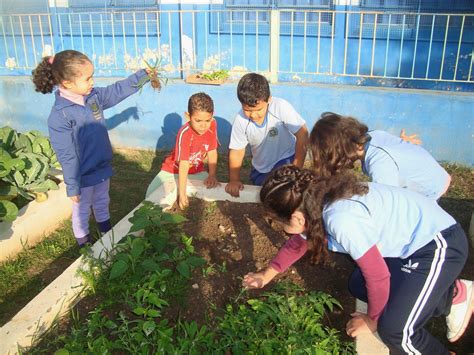 Cemei Haydee Maria Pupo Novaes Projeto Horta Na Escola