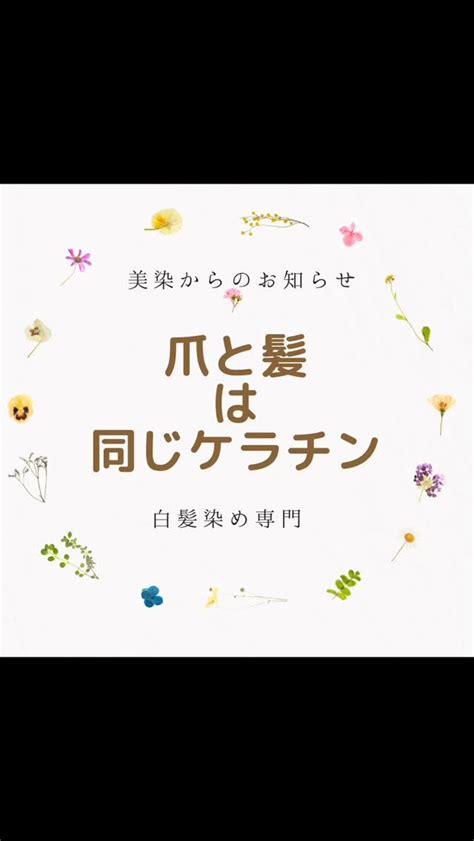 35歳以上の白髪染め専門家”【美染】鳥取市倉吉市白髪染め女性専用美染オーガニック美容 Bisencolortottori
