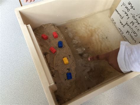 Coasts Experiment In Kestrels Primrose Hill Primary School