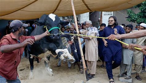 Bled By Sharp Inflation Pakistanis Mark Eid Ul Adha Hoping For