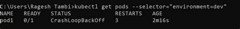 Kubernetes Labels Labels And Annotations In Kubernetes