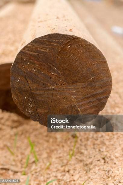 Tiang Kayu Untuk Struktur Bangunan Foto Stok Unduh Gambar Sekarang