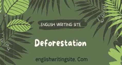 Composition Deforestation English Writing Site