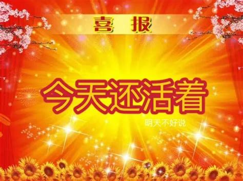 喜报表情包丨我的素质消失了 知乎