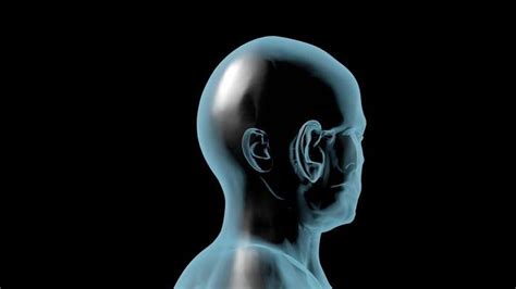 Rotating Head Stock Video Footage For Free Download