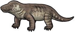 Cynognathus Wikipedia
