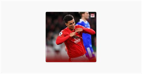 Garibaldi Red A Nottingham Forest Podcast Garibaldi Red Podcast