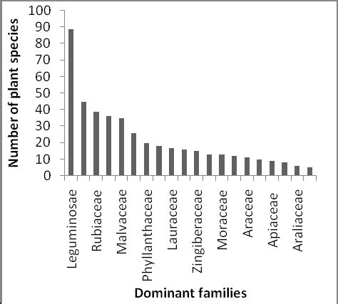 Dominant Parts – Telegraph