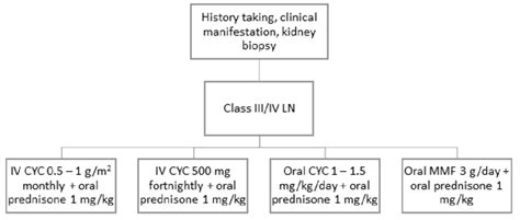 Induction Therapy Algorithm According To Kdigo 2012 17 Ln Lupus