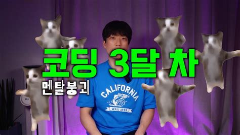 90년생 직장인 코딩입문 3달 차 기록 백엔드 찍먹 Youtube