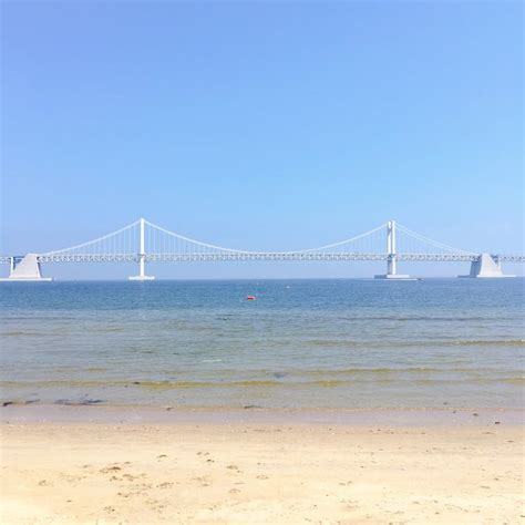 집 밖의 강가 건축 경치 경치가 좋은 관광 관광 명소 광안대교 광안리 해수욕장 넓은 바다 다리 다리 구조