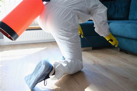 How Much Does Fumigation Cost These Are The Main Factors