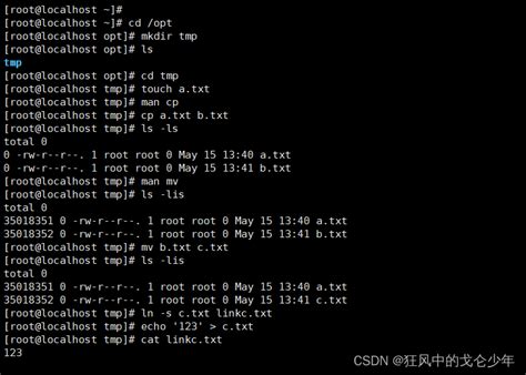Linux基础指令练习linux命令练习 Csdn博客