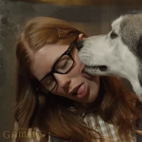 Dog Licks S Find And Share On Giphy