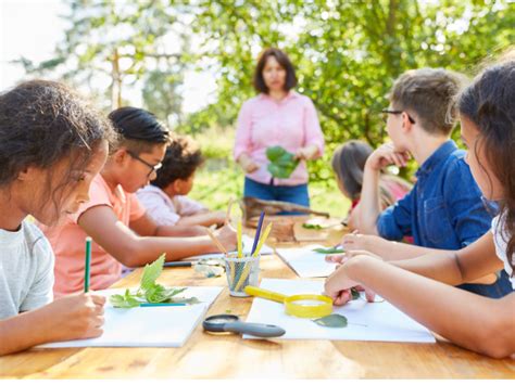 Environmental Literacy In America 2005 The National Environmental