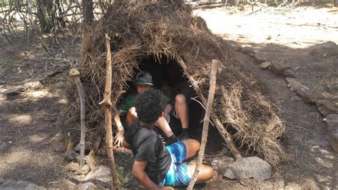 Salamanders Ages 6 12