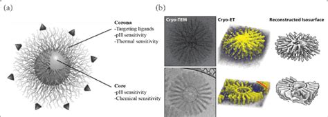 A Schematic Illustration Of The Core Shell Structure Of A Polymer