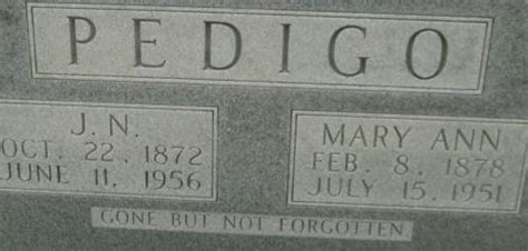 John Newton Johnnie” Pedigo 1872 1956 Find A Grave Memorial