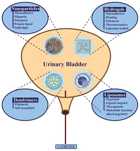 Different Types Of Nano Formulations That Can Be Employed As Effective