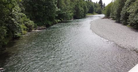 Tech Nically Homeless Campground Review Dosewallips State Park