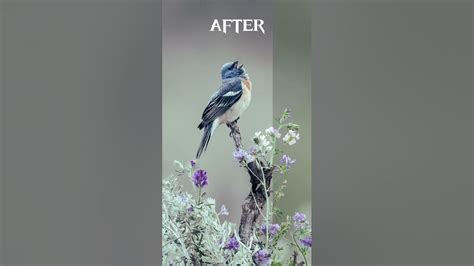 Before After Transition Youtube