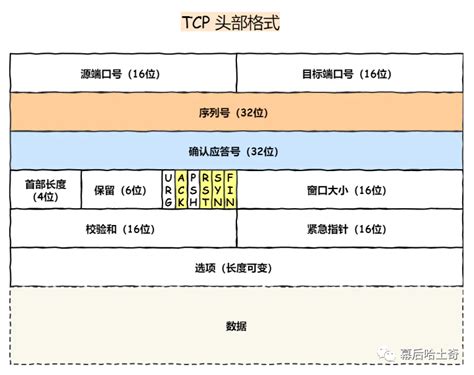 三十二传输层篇 端口那些事儿 极客之音