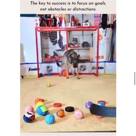 Zain Ul Munir On Linkedin Goalsetting Stayfocused Prioritize Mindsetmatters