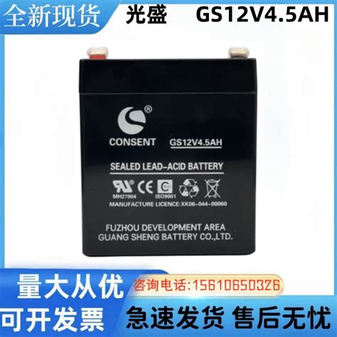 Consent光盛蓄电池gs12v45铅酸精密仪器医疗应急ups电瓶12v45ah Taobao