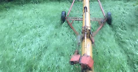 May 22 Year Of Organic Farmer Album On Imgur