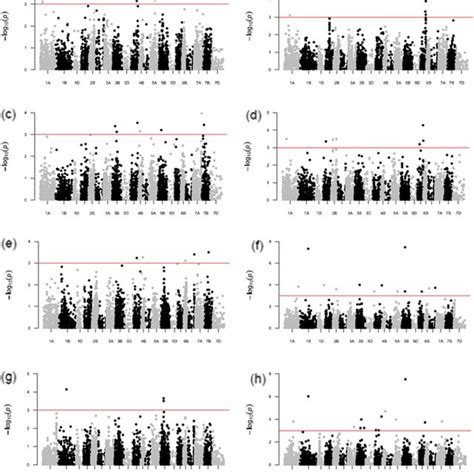 Qq Plots To Visualize The Deviation Of Observed P Values From Expected